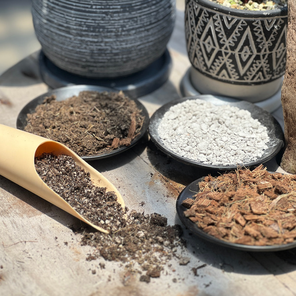 観葉植物の土 10L AONOKIオリジナルブレンド