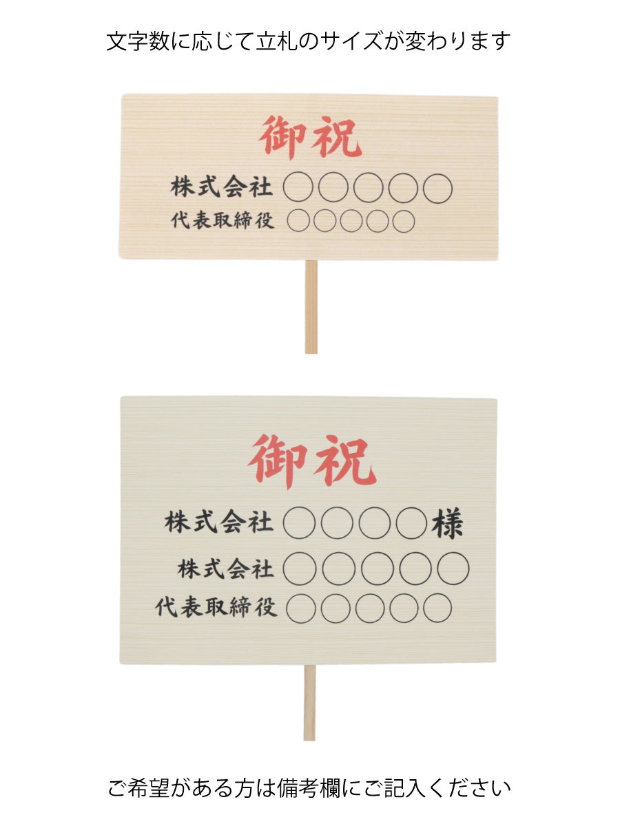 観葉植物ギフトLサイズ【沖縄向け】 – AONOKI